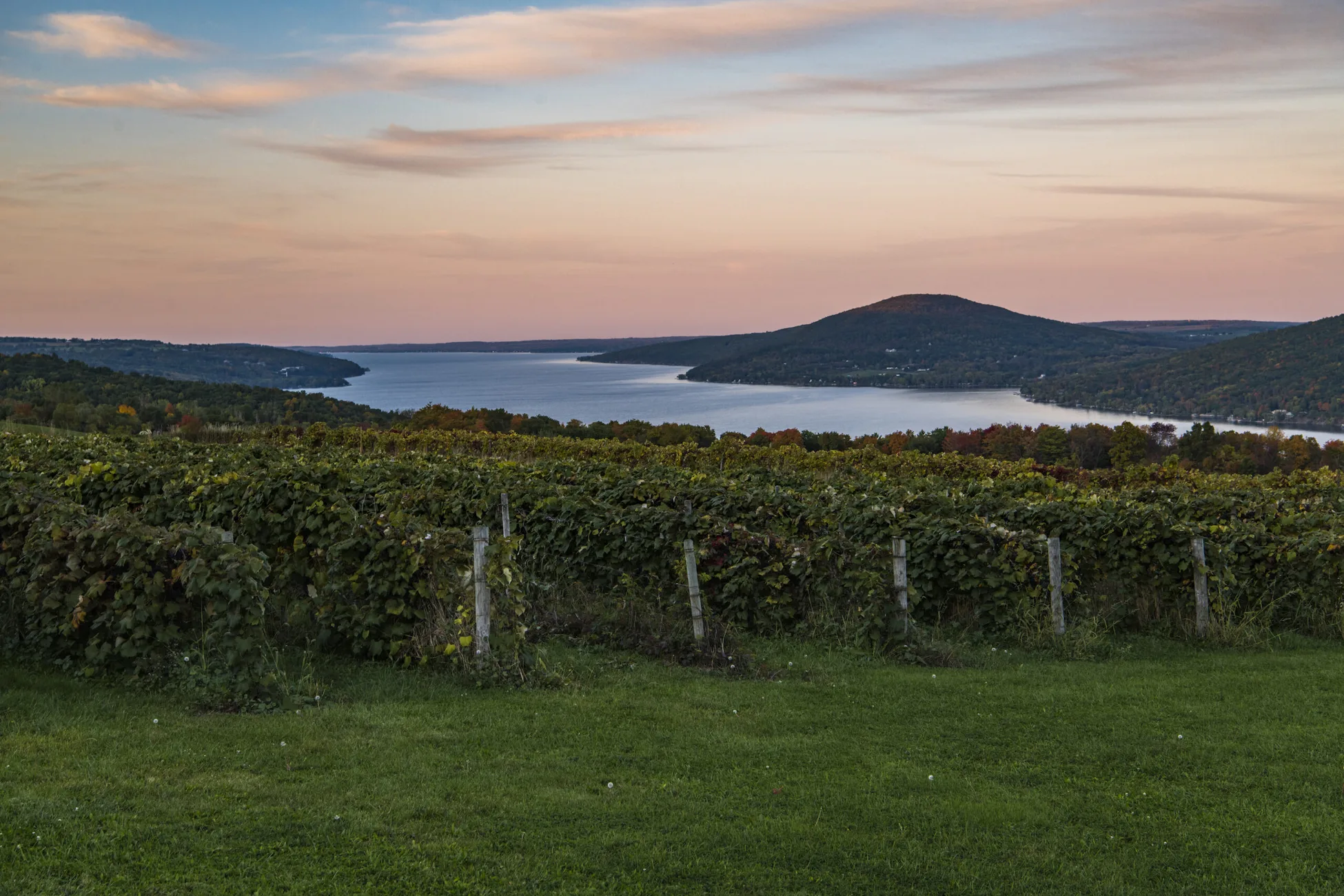 New York State Wine Tour for Your Bucket List