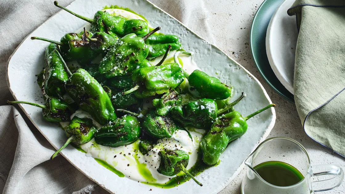 Christian Ryan's grilled Padrón peppers recipe with whipped feta ...