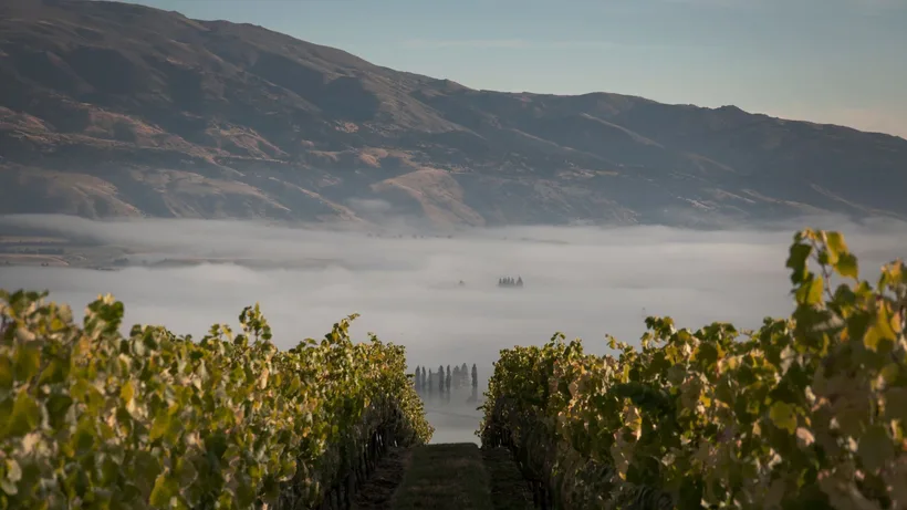 Capri calling - Gourmet Traveller