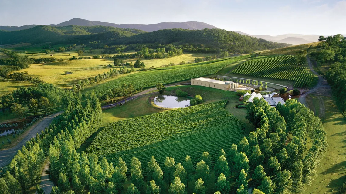 The best Yarra Valley wineries and cellar doors - Gourmet Traveller
