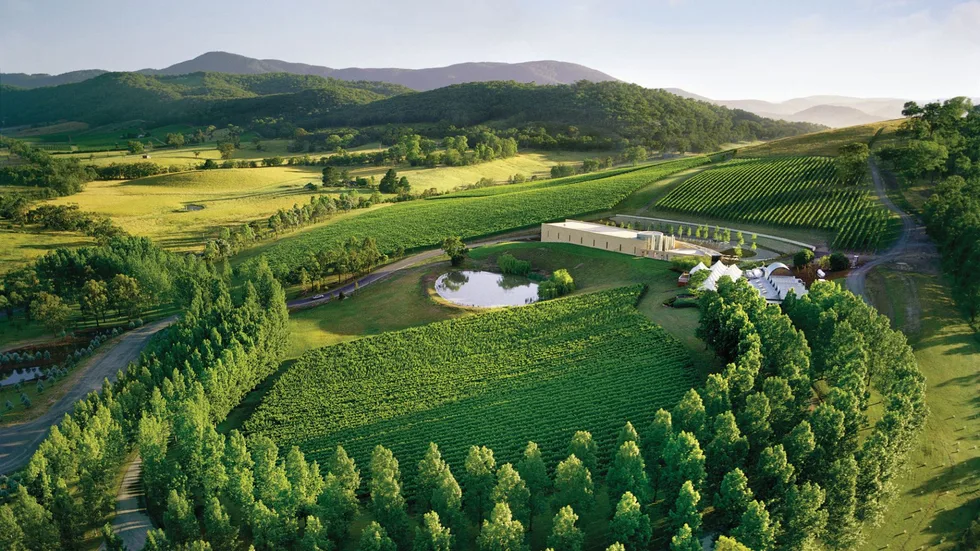 The best Yarra Valley wineries and cellar doors - Gourmet Traveller