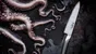 Why Japanese kitchen knives are a cook's best friend