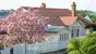 Best Airbnbs in Launceston, Tasmania for 2025