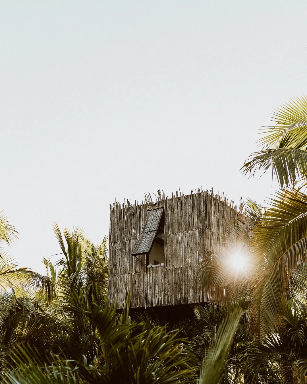 Acre Resort is a luxe nature retreat in Los Cabos