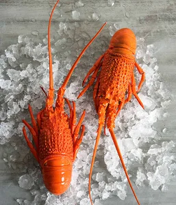 How to prepare fresh lobster | Gourmet Traveller recipe