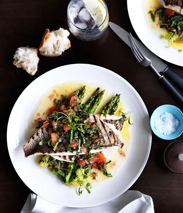 Snapper Recipes to Add to Your Repertoire