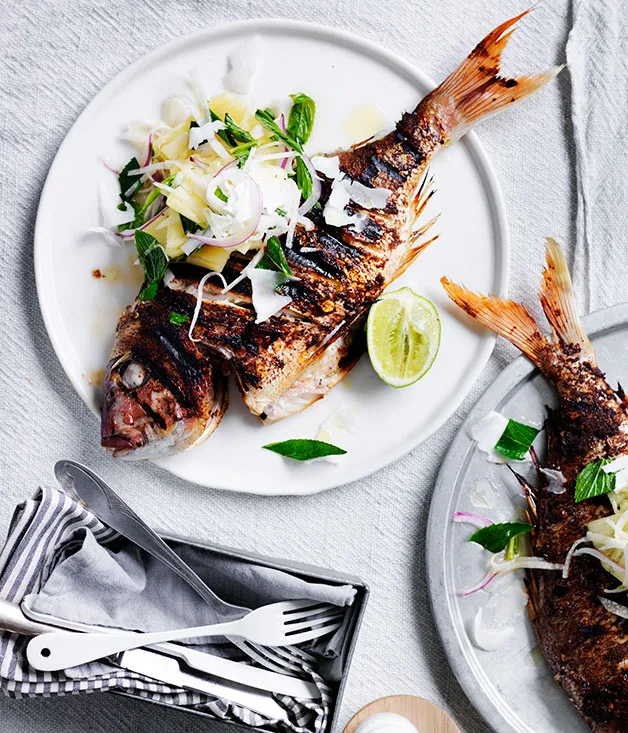Snapper Recipes to Add to Your Repertoire