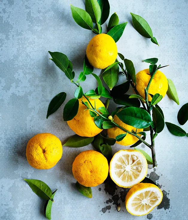 Arnold's yuzu | Gourmet Traveller