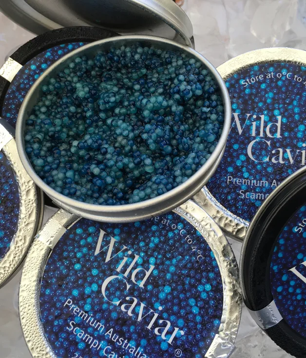 Shark Bay Wild Scampi Caviar | Gourmet Traveller