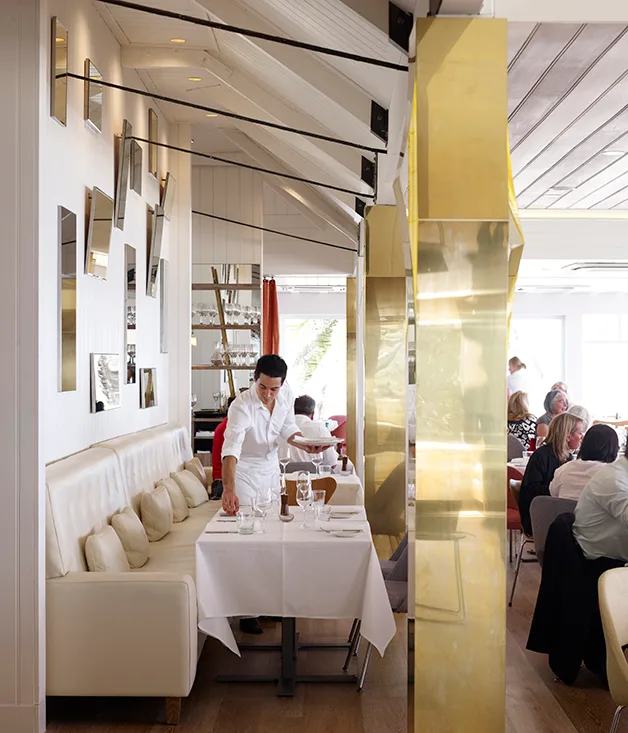 Stokehouse's Revival: Interview with Frank van Haandel