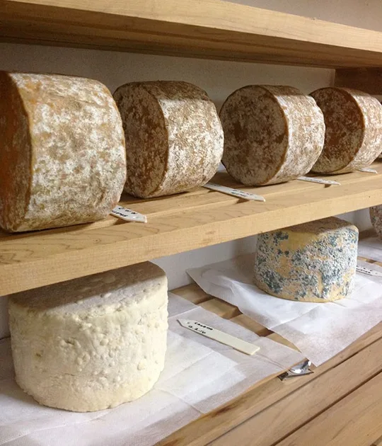 Why I choose farmstead cheese | Gourmet Traveller