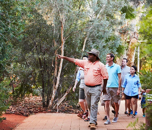 Bush Tucker Journeys at Uluru | Gourmet Traveller