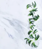 What is karkalla? | Gourmet Traveller