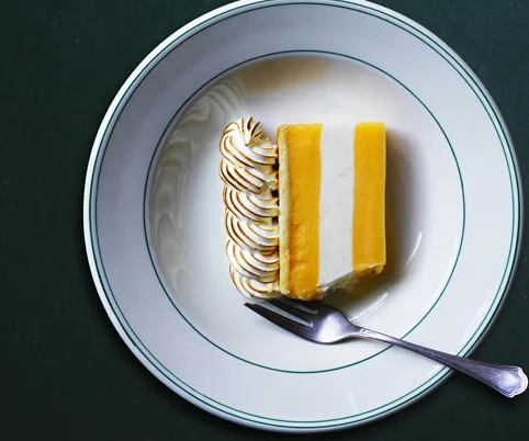 Mandarin and yoghurt frozen slice recipe by Bert's | Gourmet Traveller