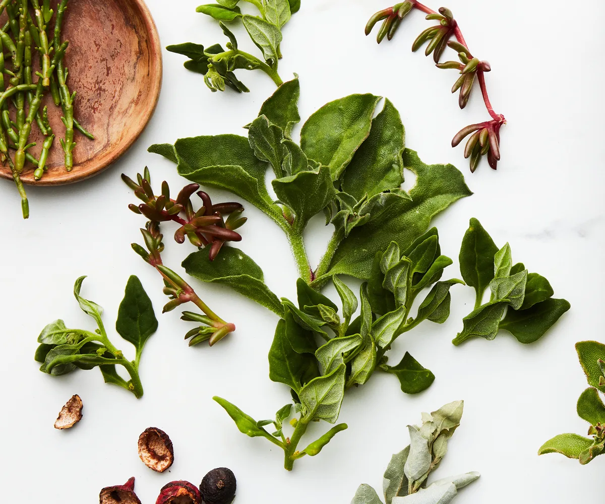 Future of Australian Native Ingredients Explored