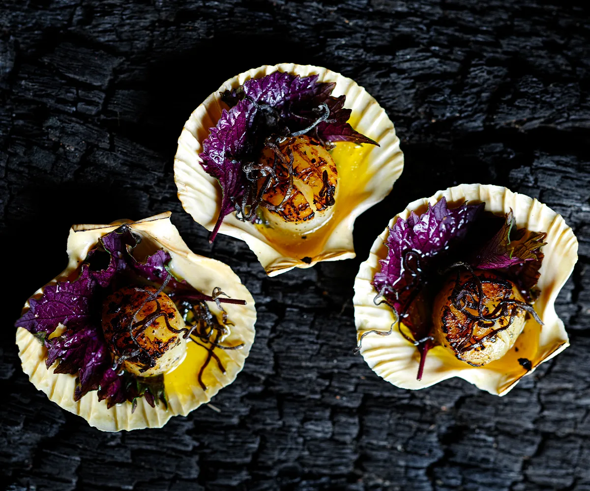 Scallops in half shell | Gourmet Traveller