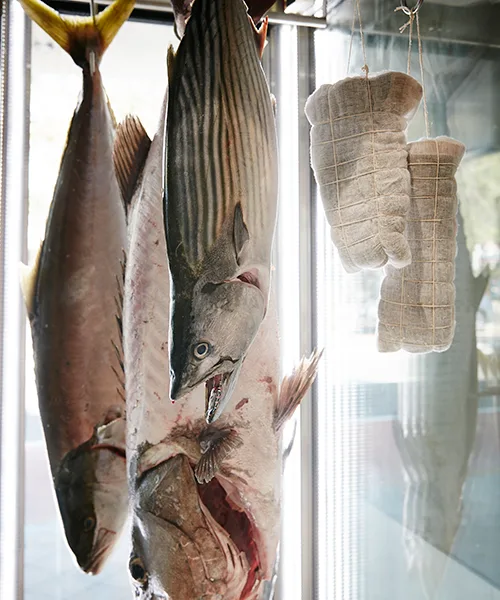 Josh Niland's Fish Butchery: A New Fish Shop