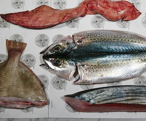 Josh Niland's Fish Butchery: A New Fish Shop