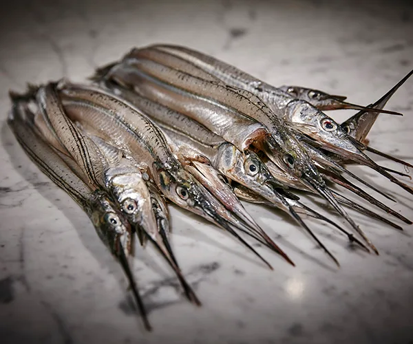 Josh Niland's Fish Butchery: A New Fish Shop