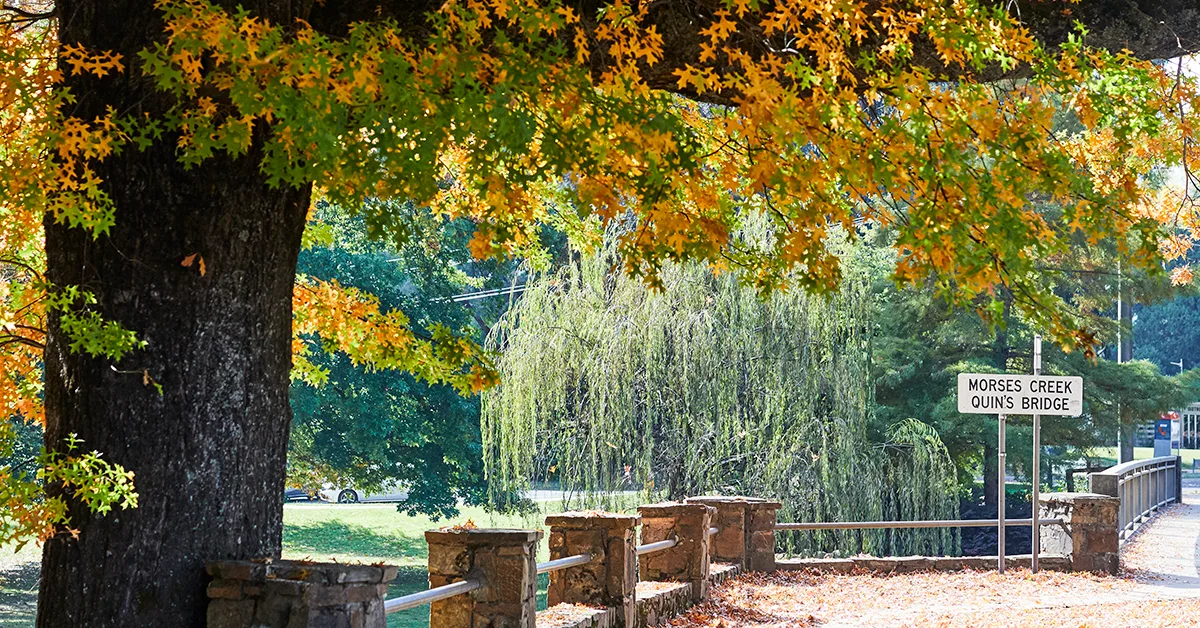 Victoria's reinvigorated High Country | Gourmet Traveller