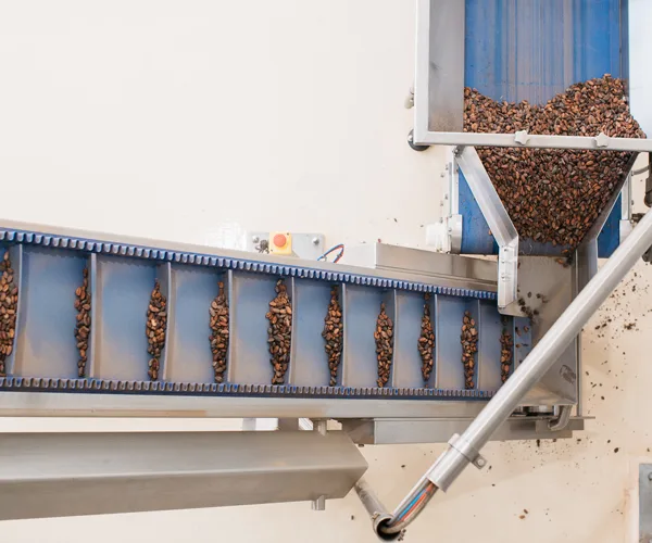 Haigh's Chocolate Factory: A Behind the Scenes Look