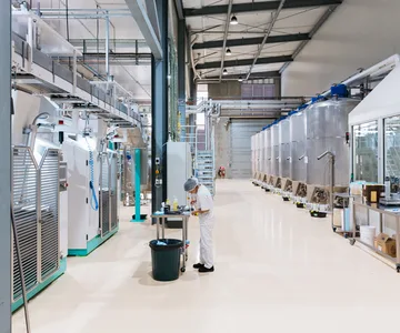 Haigh's Chocolate Factory: A Behind the Scenes Look