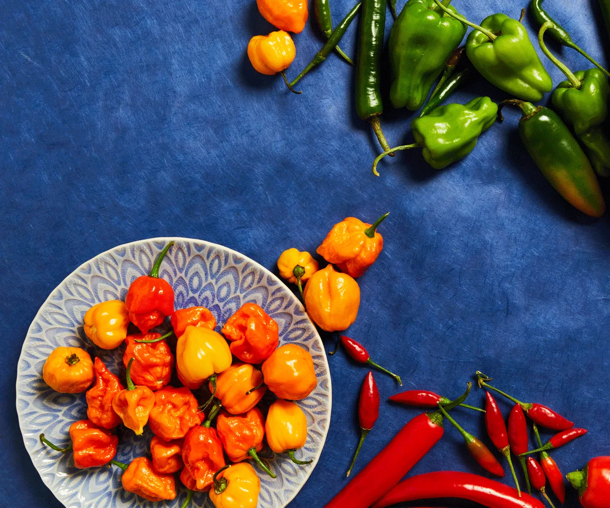 The Ultimate Chilli Guide for Different Types