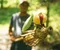Guide to the Maluku Islands (Spice Islands)