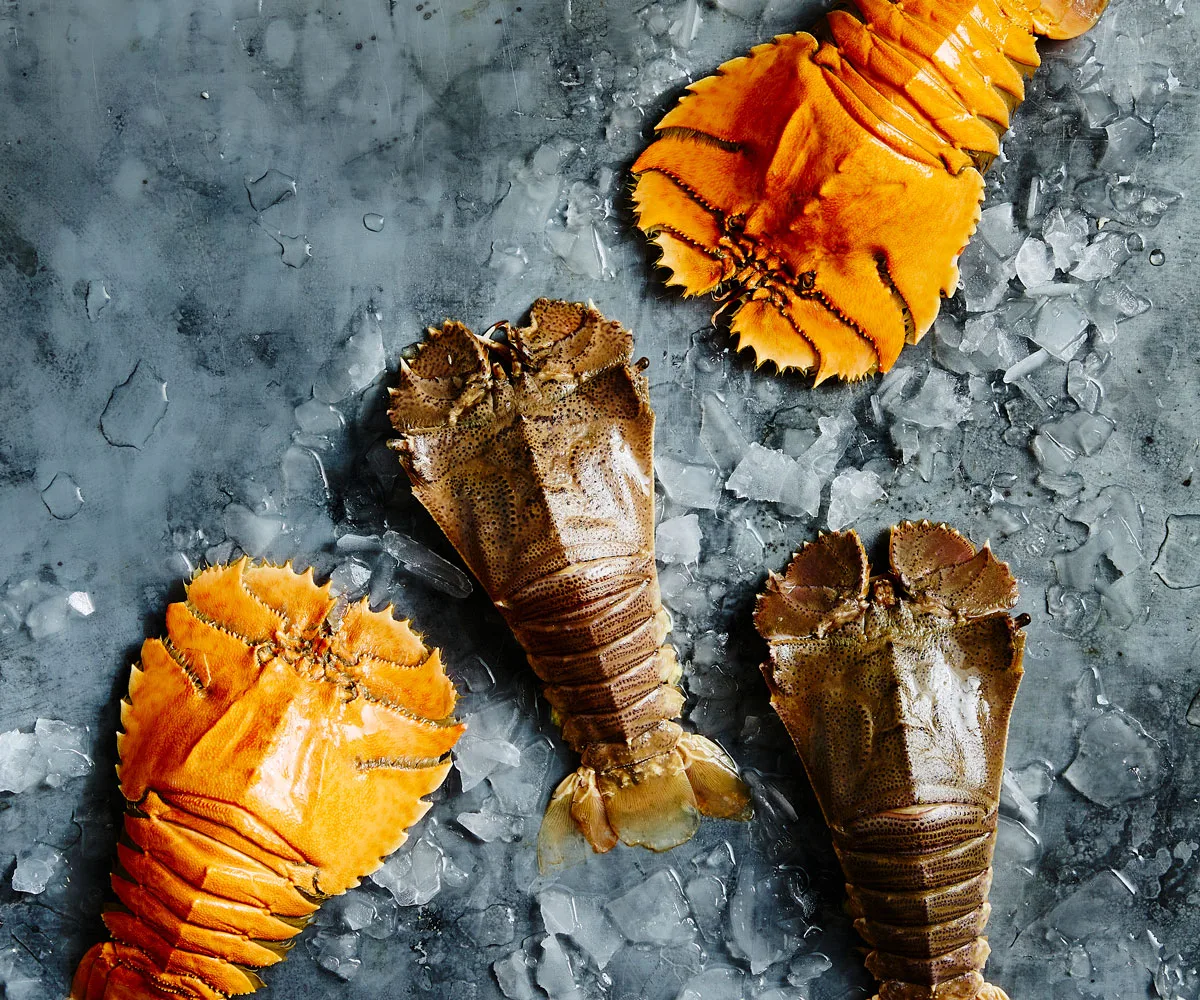 Different Types of Crustaceans Explained