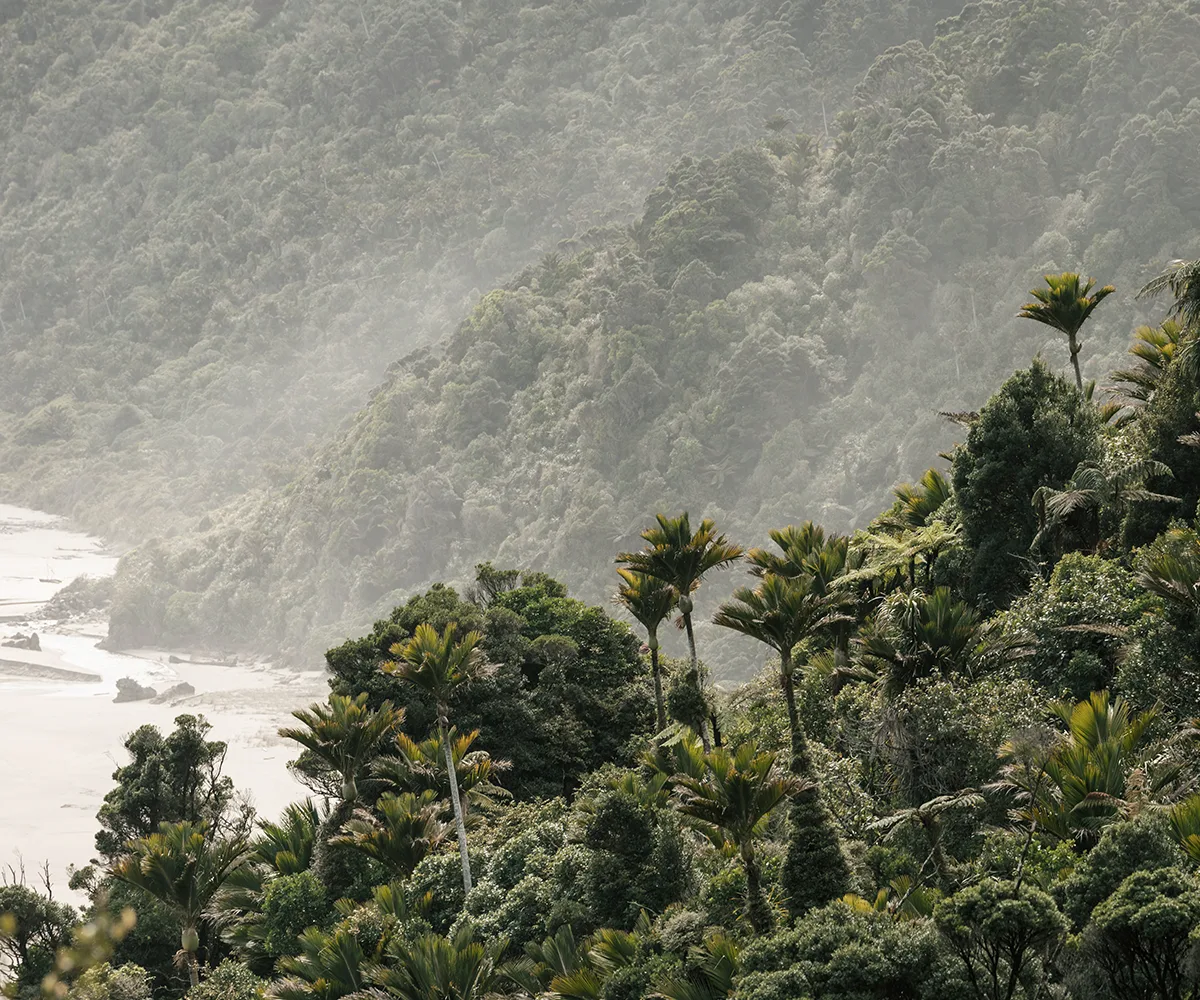 An In-Depth Guide To The New Zealand Great Walks