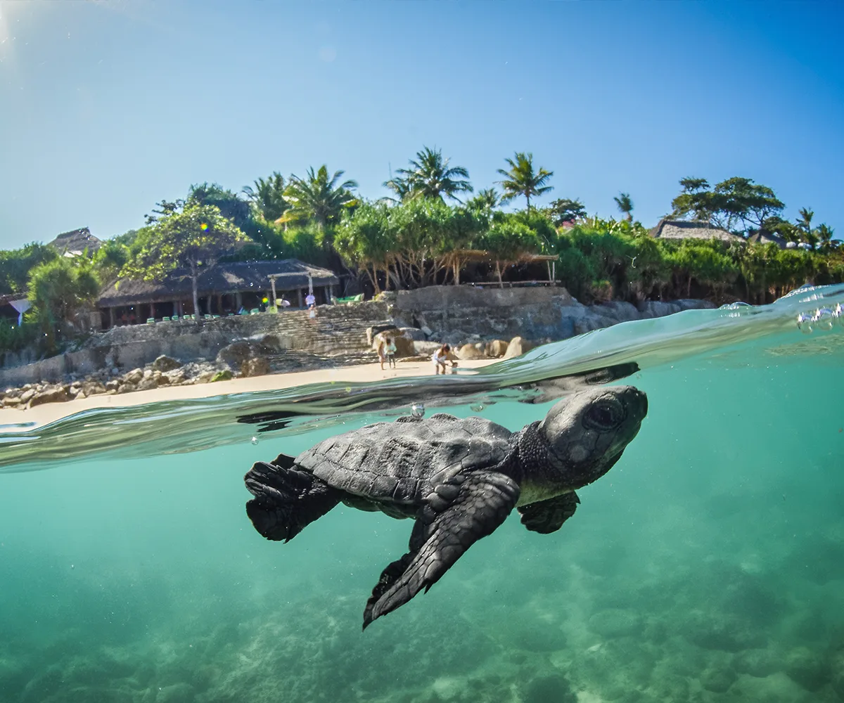 Luxury travel guide to Sumba, Indonesia | Gourmet Traveller