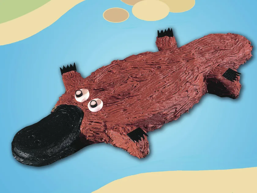 Bruce platypus cake