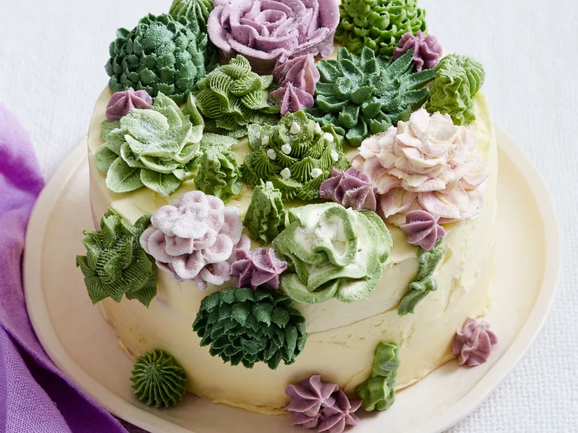Buttercream succulent plant cake