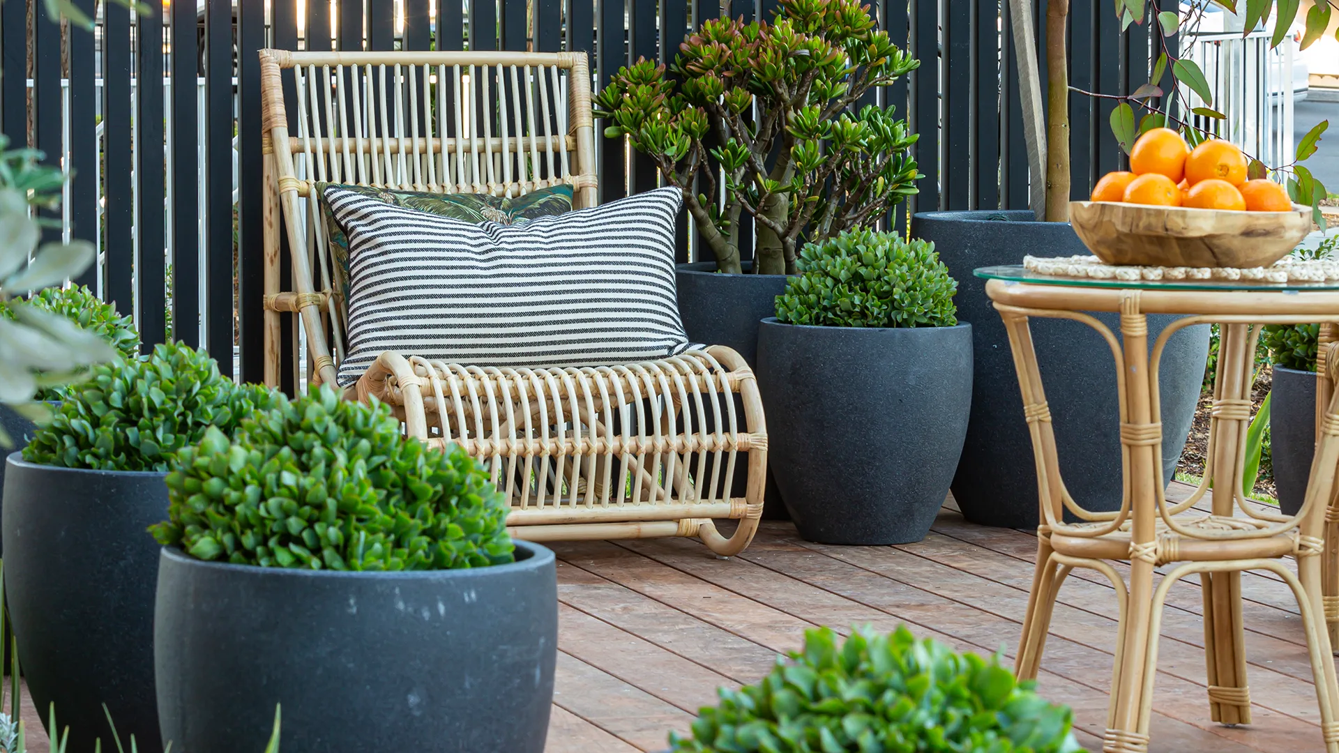 Deck rotting prevention: 5 expert tips | Better Homes & Gardens Australia