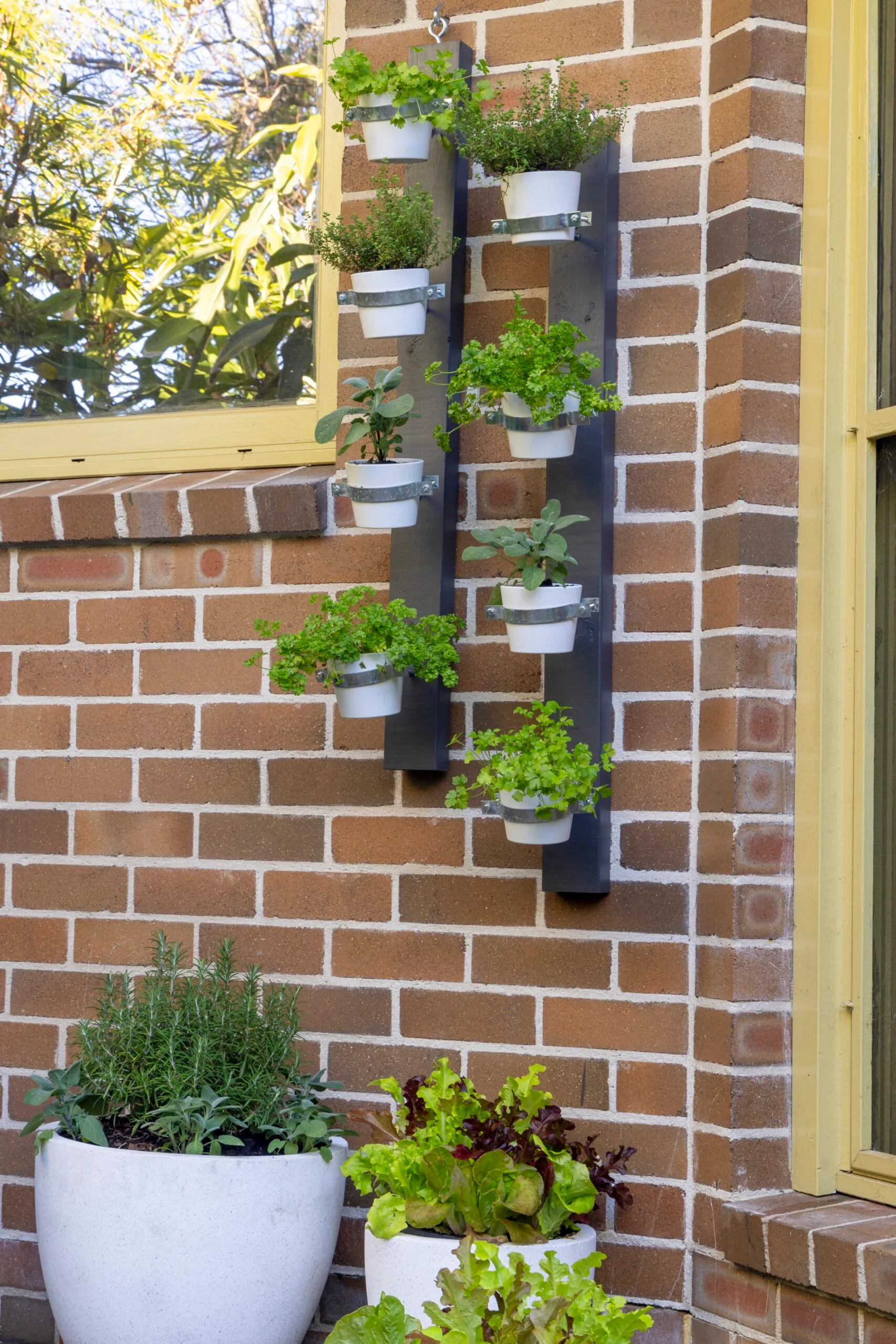 How to make a chef's herb garden | Better Homes & Gardens Australia
