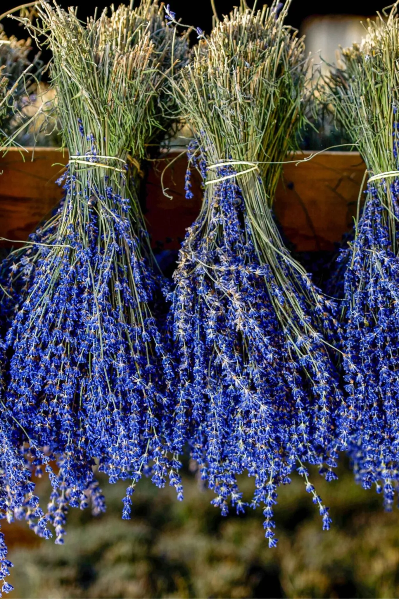 5 ways to dry fresh flowers | Better Homes & Gardens Australia