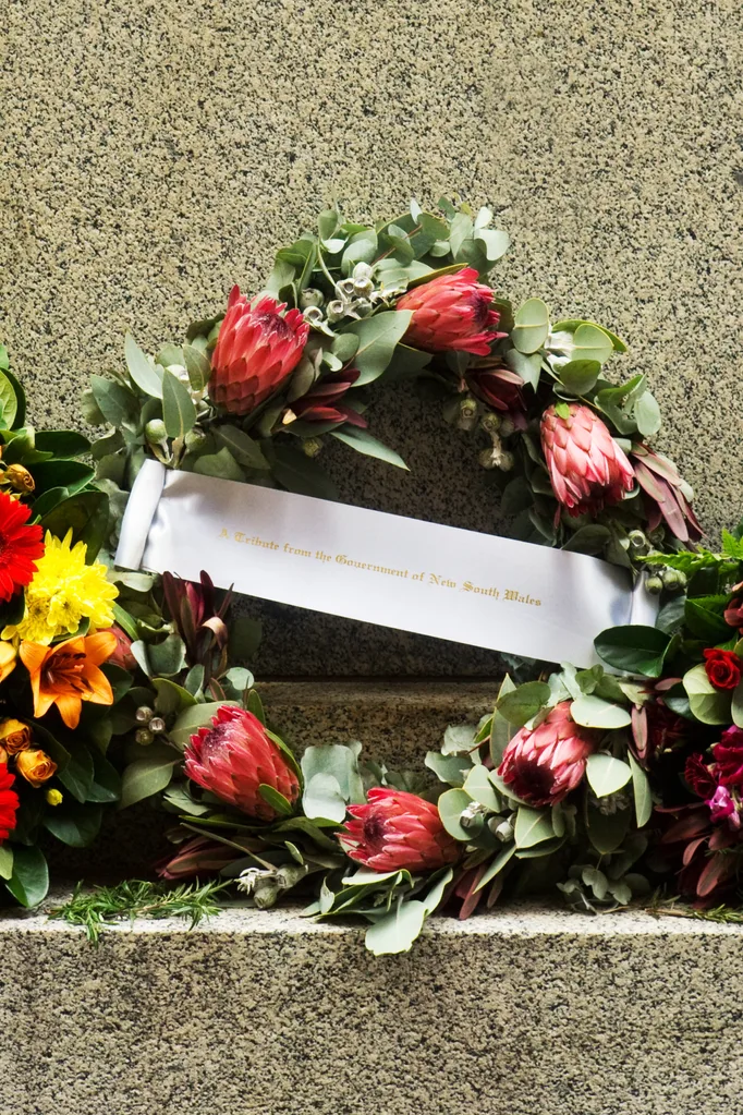 Anzac day flower meanings and history explained