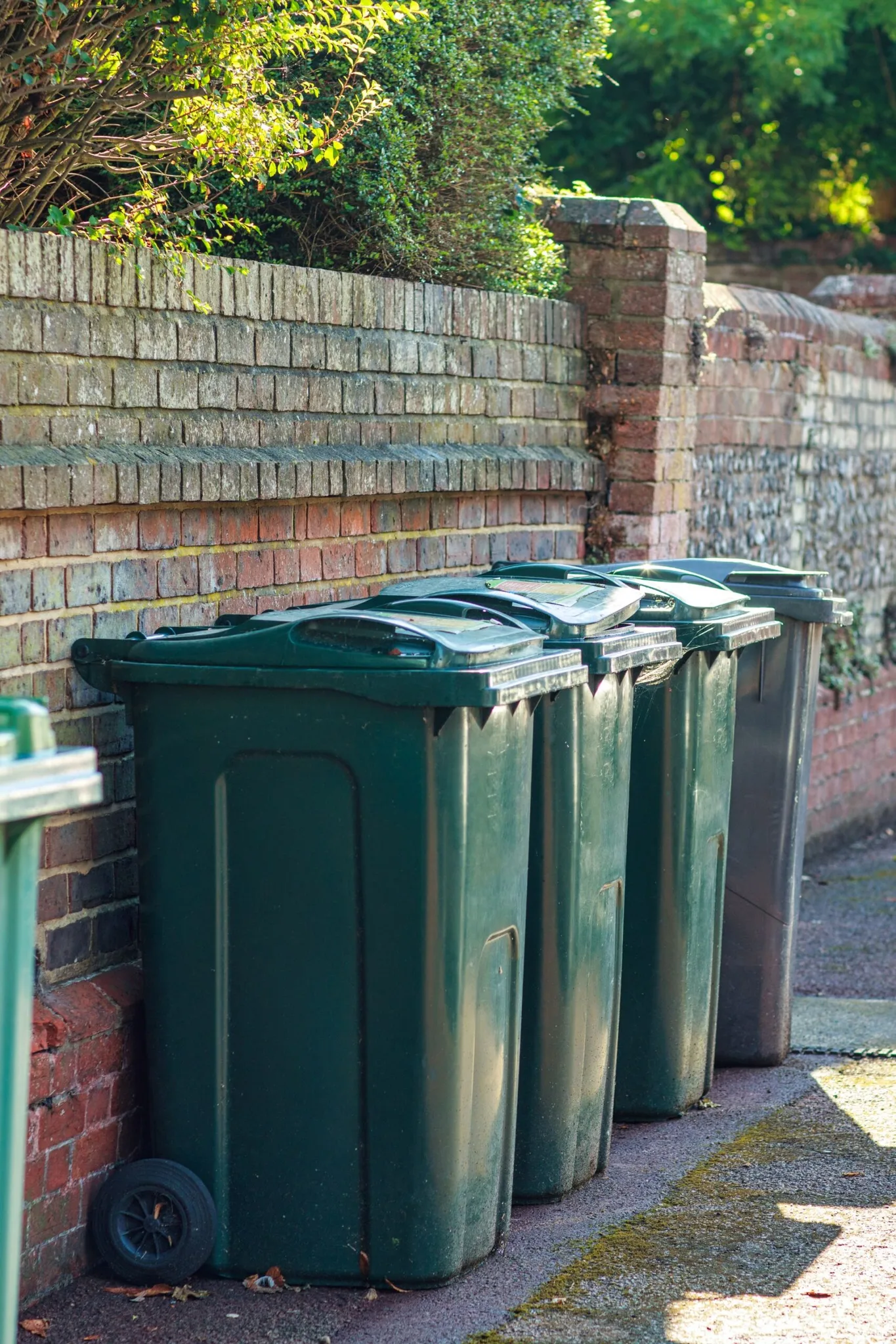 How to clean a smelly wheelie bin: A step-by-step guide
