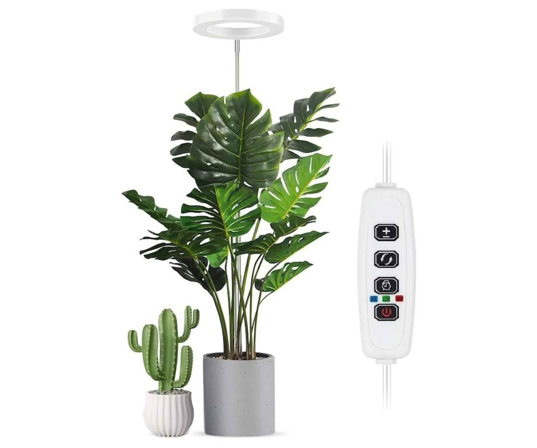 5 best grow lights for happy and healthy plants in 2025 - Better Homes ...