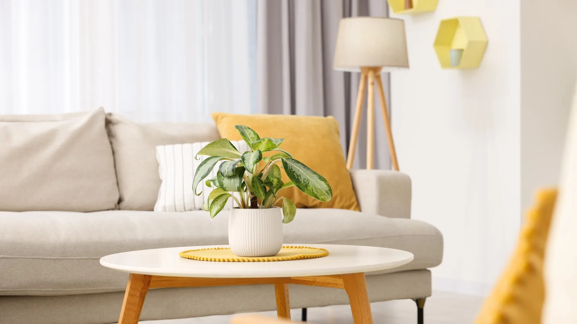 8 Best Brands For Affordable Furniture and Homewares Online