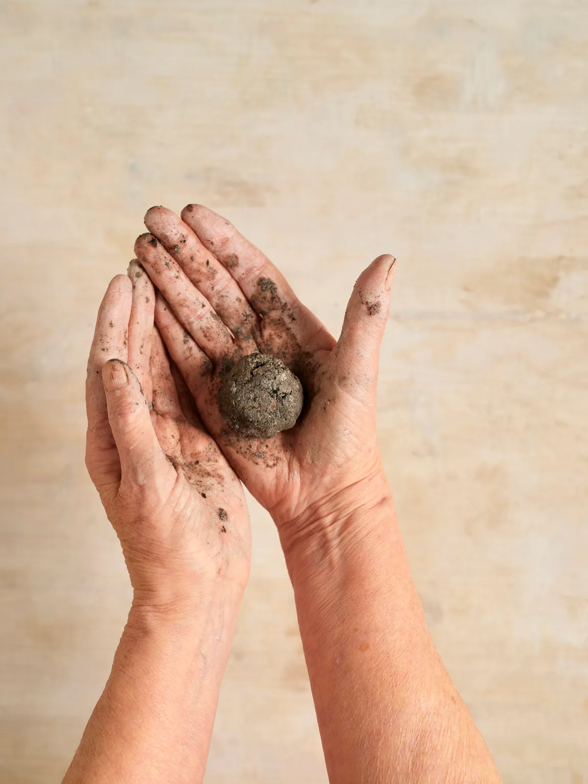 Seed bombs: the old-school gardening method reviving native plants ...