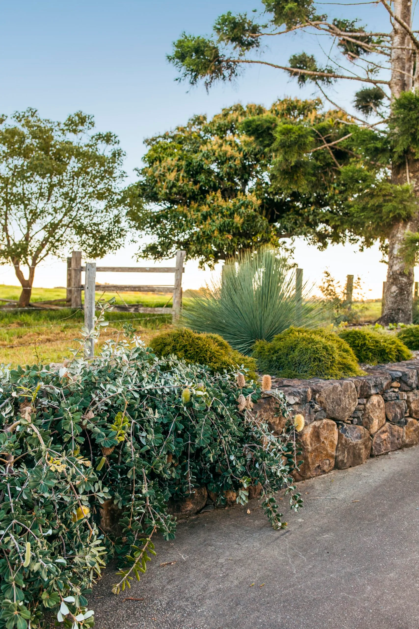 Charlie Albone Visits Grant Boyle's Australian Garden | Better Homes ...