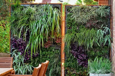 Garden Screening Ideas: Block Out Nosy Neighbours