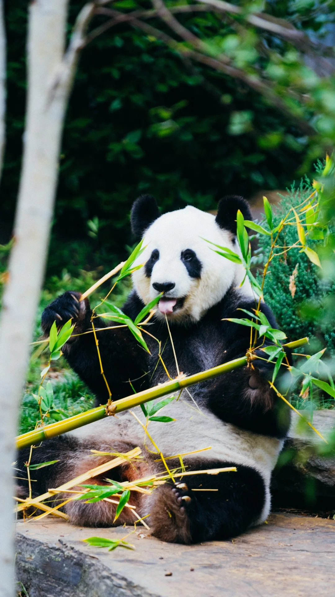 4 essential things to do on a first-time visit to China - Better Homes ...