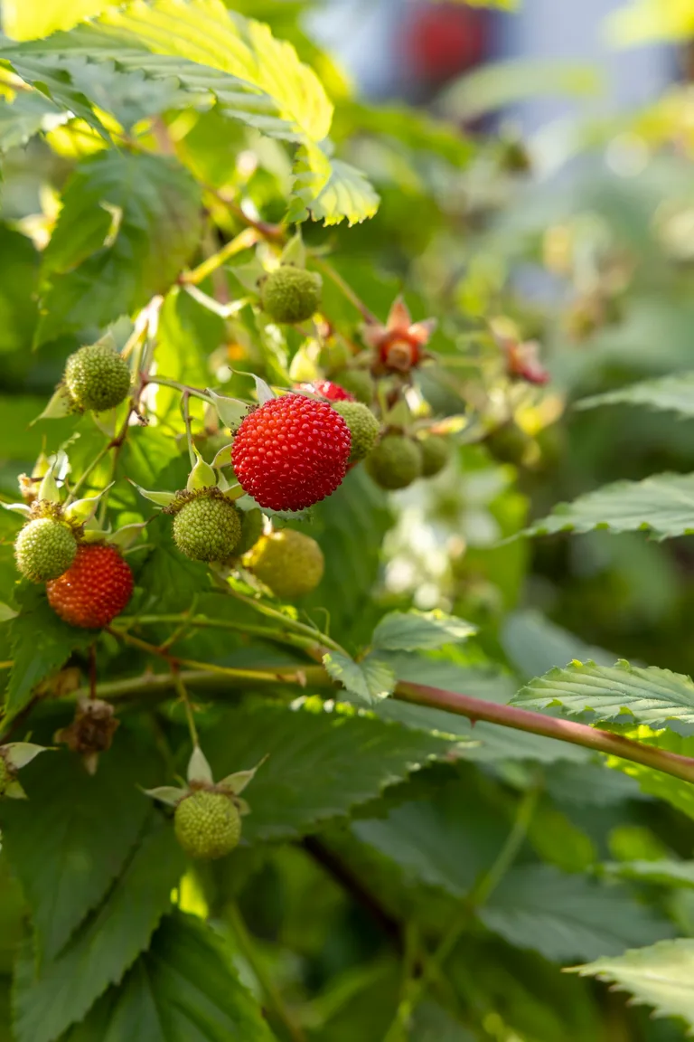 Six easy ways to start organic gardening | Better Homes and Gardens