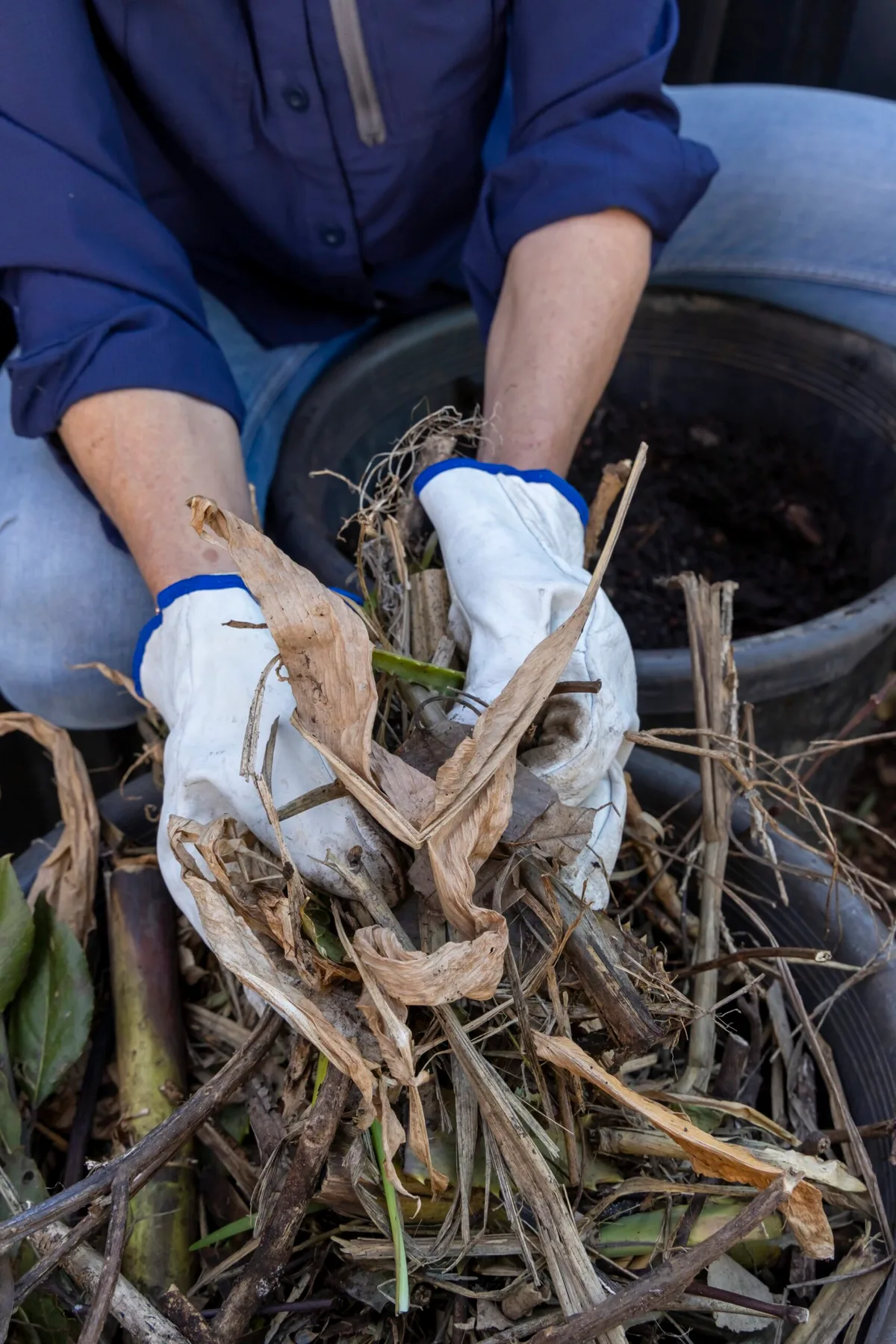 Six easy ways to start organic gardening | Better Homes and Gardens