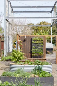 Why gardening and sustainability go hand in hand - Better Homes ...