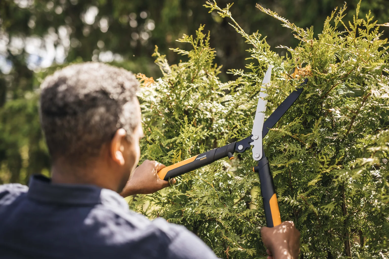 Loppers, choppers, pruners and shears – why using the right garden tool ...