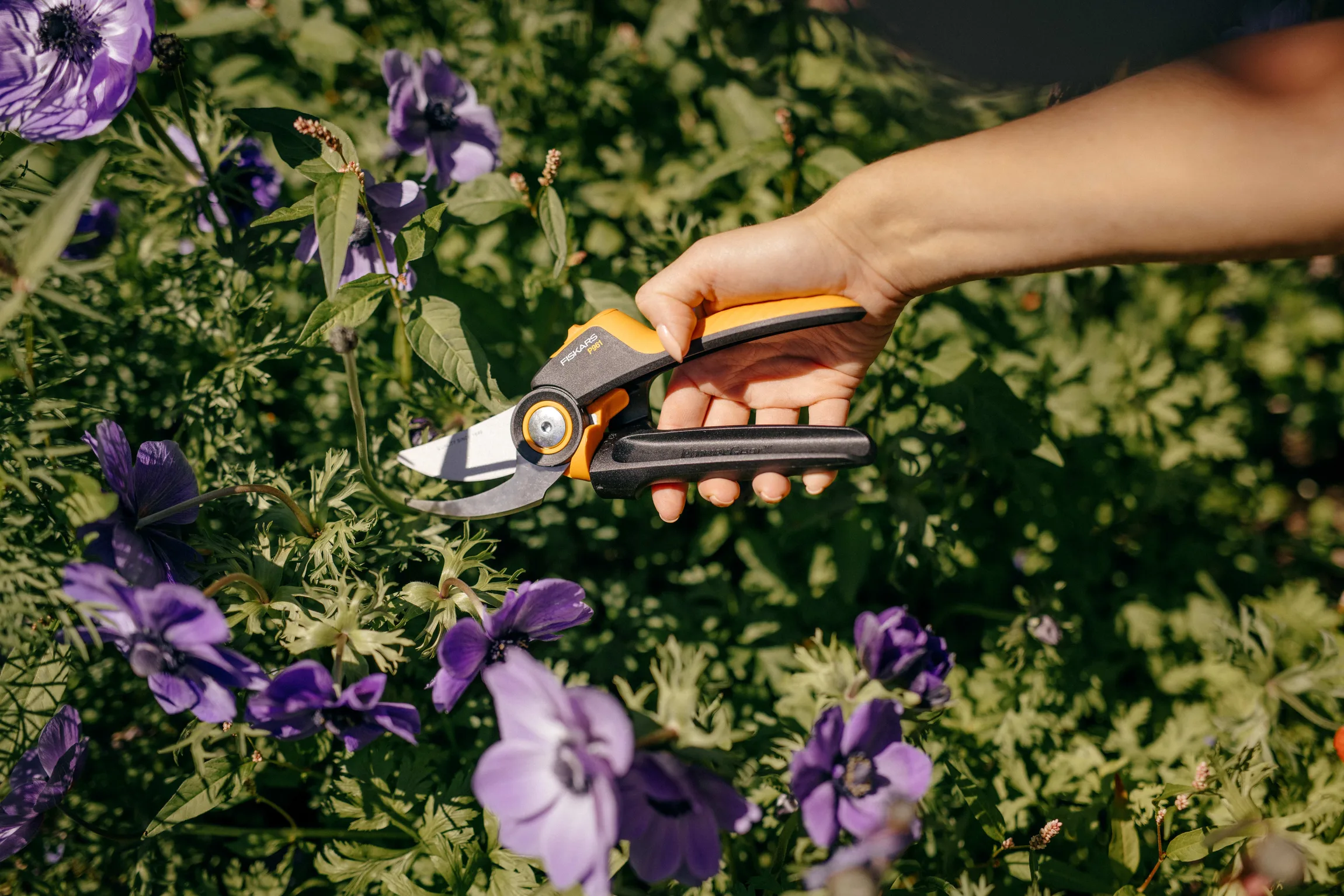 Loppers, choppers, pruners and shears – why using the right garden tool ...
