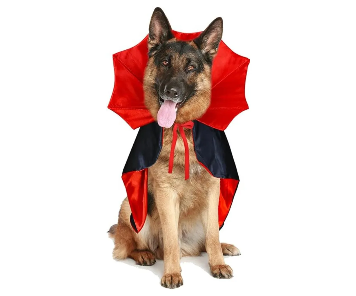 14 of the spookiest and cutest dog Halloween costumes - Better Homes ...